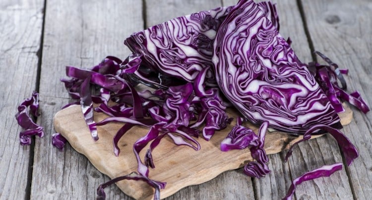 Chou rouge - MGC Prévention Santé