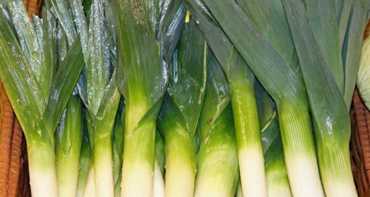 Poireau - MGC Prévention Santé