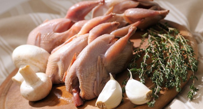 Caille - MGC Prévention Santé