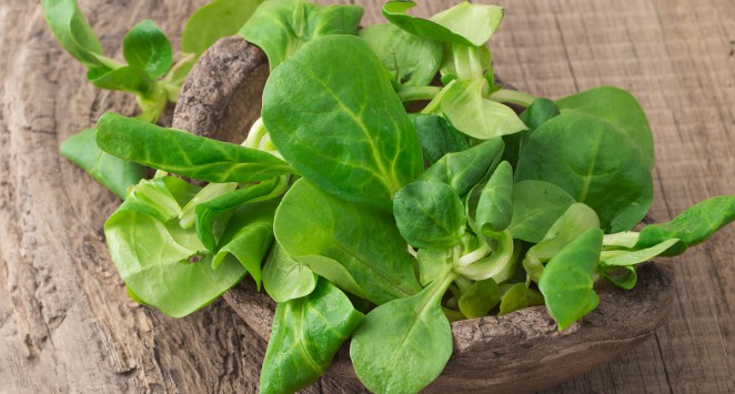 Mâche : tout savoir sur la mâche et ses atouts santé