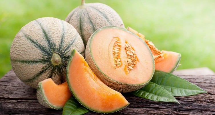 Melon : composition nutritionnelle et atouts santé