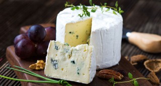 Bresse Bleu : tout savoir sur le Bresse Bleu