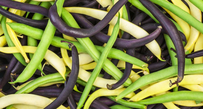 Haricots : tout savoir sur les haricots et ses atouts santé