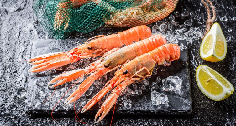 Langoustine : tout savoir sur la langoustine