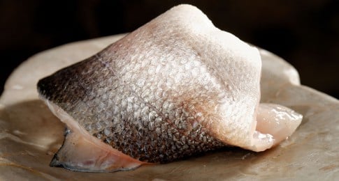 Merlu : tout savoir sur le merlu et ses atouts santé