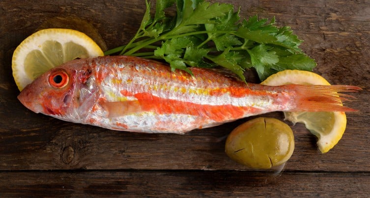 Rouget : tout savoir sur le rouget et ses atouts santé